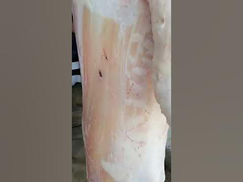 لحم طلي عراقي قوزي - YouTube