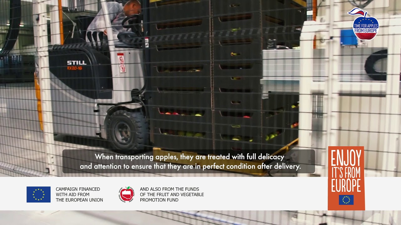 Transportation and distribution of apples - YouTube