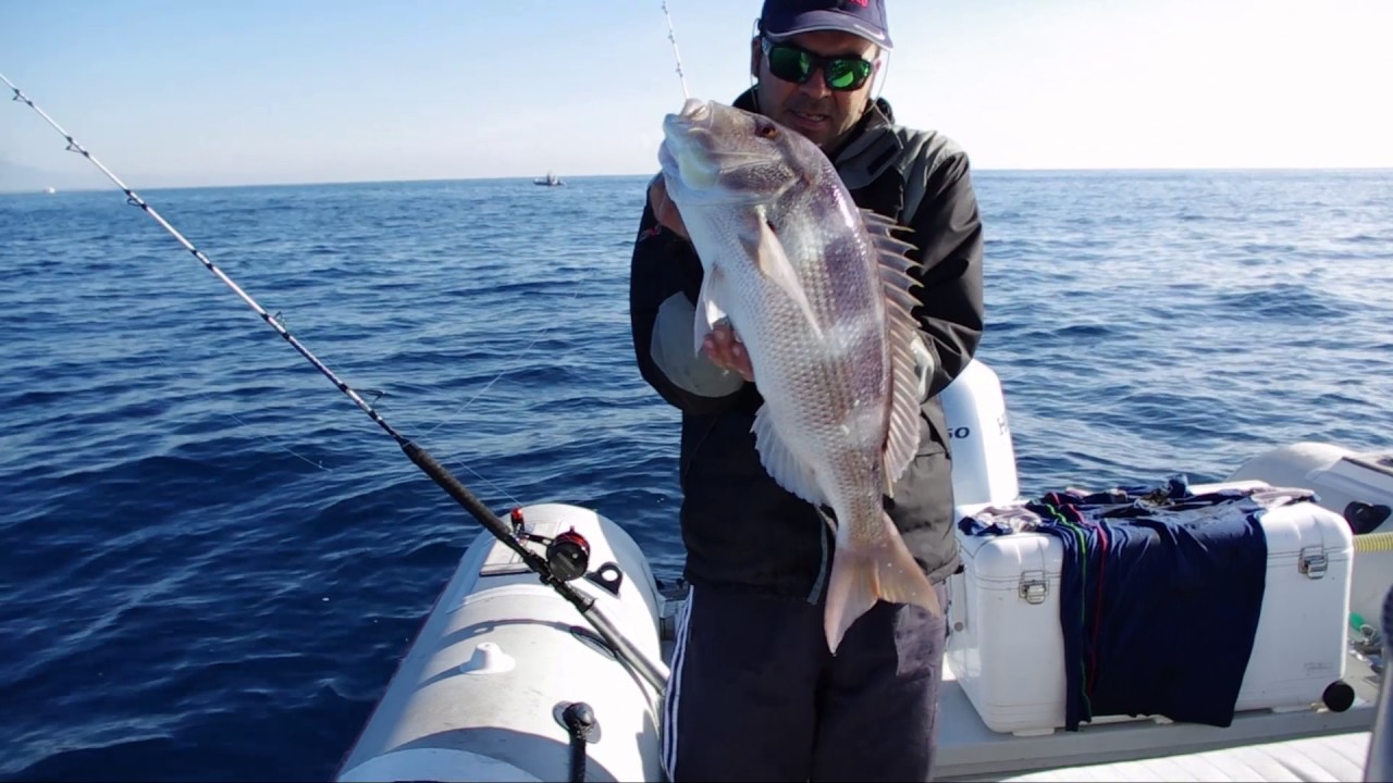 Trabucco TV - Traina con il vivo con Simone Chiariglione - YouTube