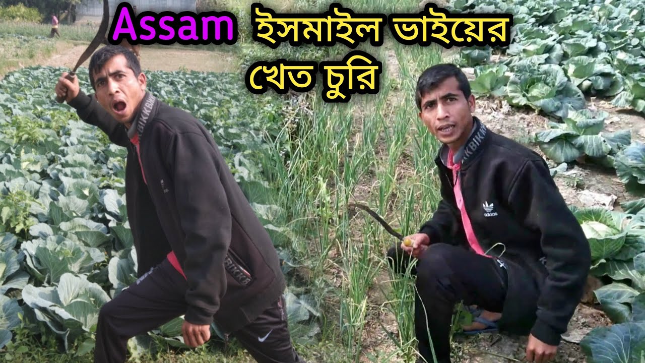 Assam Ismail Bhai || Ismail Bhayer Khet Churi || Ismail Bhai First ...