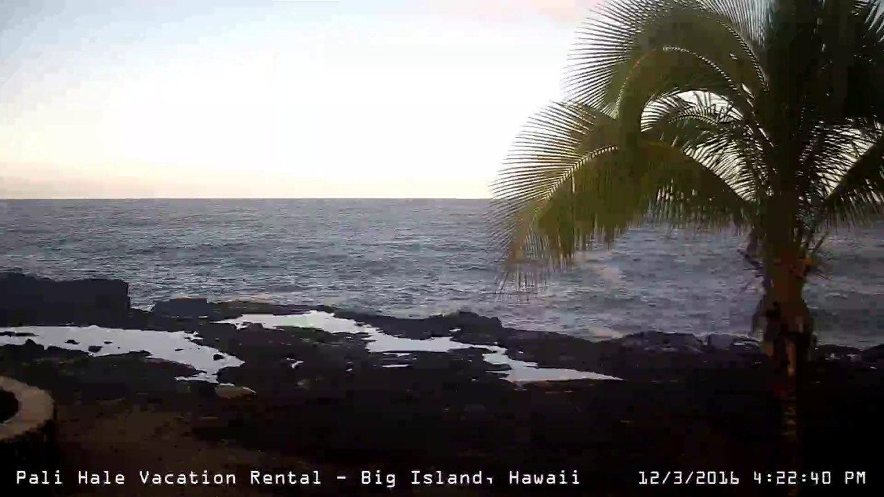 Pali Hale Live Stream from Puna Coast of Kea'au, Big Island Hawaii ...