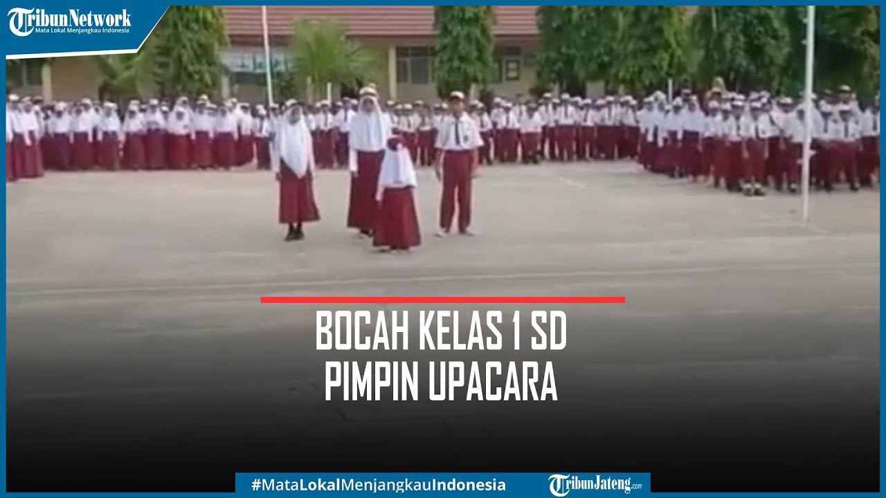 Viral Bocah Kelas 1 SD Pimpin Upacara Bendera, Suaranya Imut - YouTube
