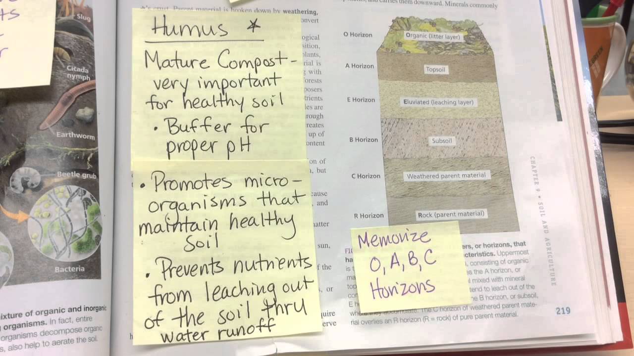 Chapter 9 Sticky Notes pgs. 214-221 SA - YouTube