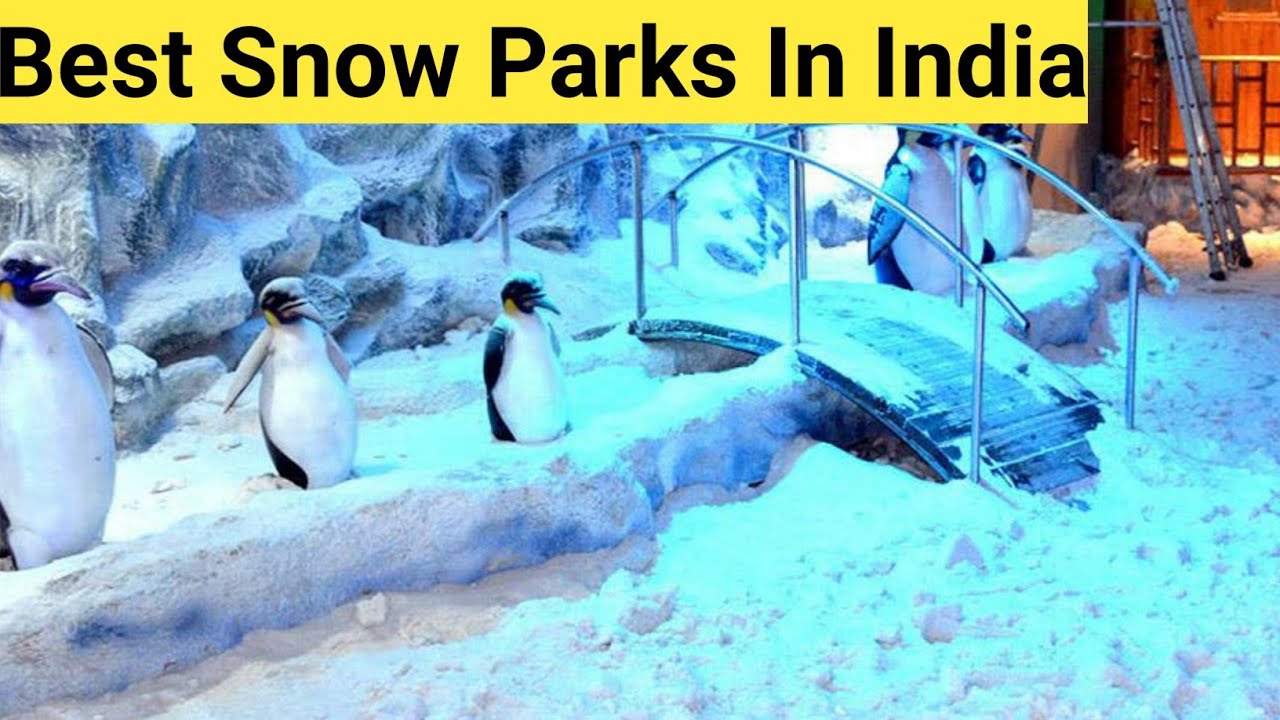 Best Snow Parks In India| India's First Snow Theme Parks| Snow World ...