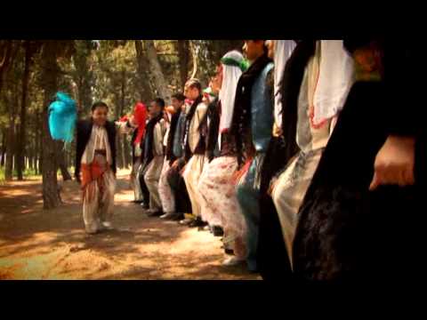 Celal Yarıcı Çit Le