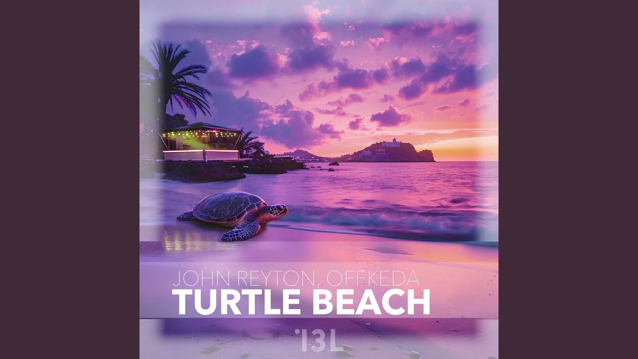Turtle Beach - YouTube