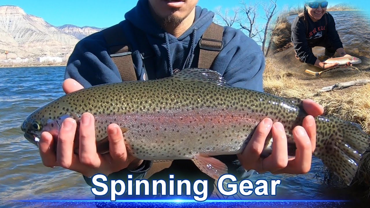 HOW TO CATCH TROUT with Spinning Gear (Spring Trout Fishing) - YouTube