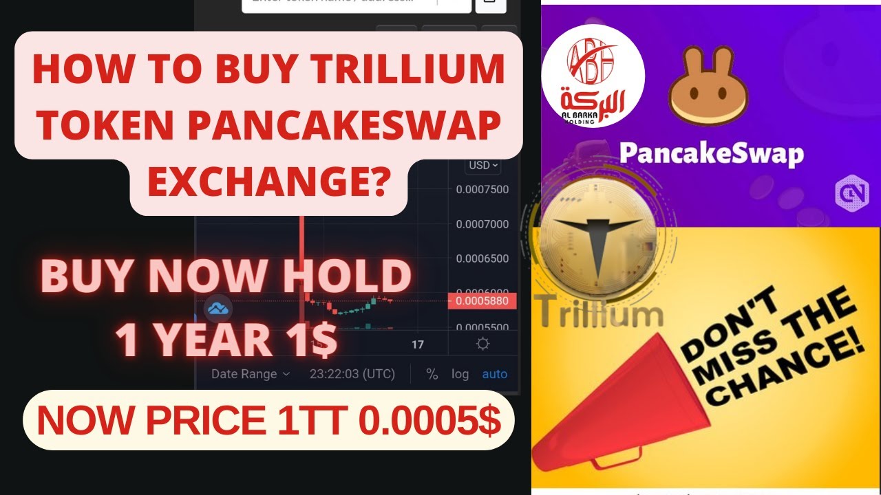 HOW TO BUY Trillium Token PANCAKESWAP EXCHANGE URDU HINDI - YouTube