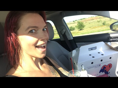 Home from Florida Vacation! I’ll tell you ALL about it! Helicopters, Beach, Boats, and Family!