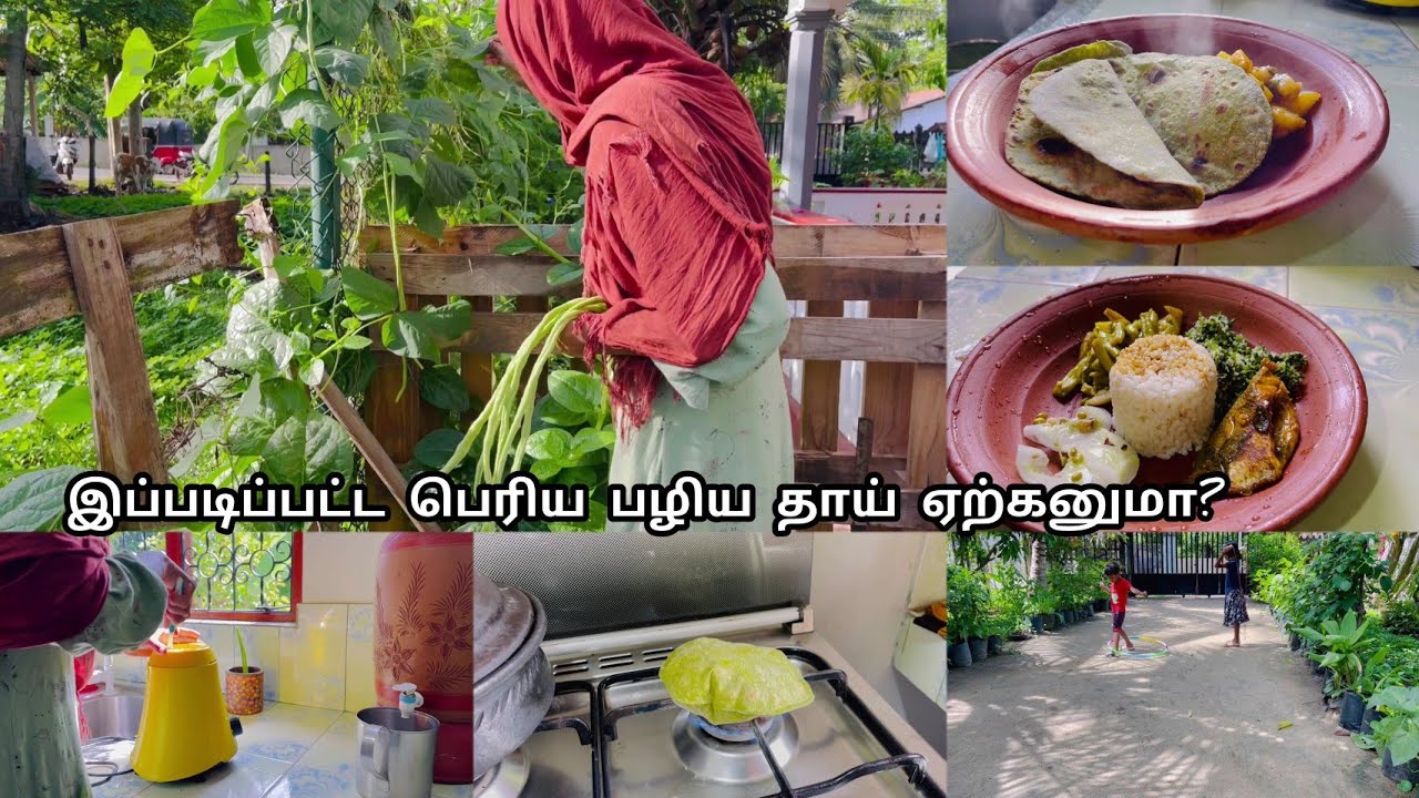 கேட்கும்போதே பயமாக இருக்கு/Srilankan Thriposha recipe/Gardening vlog/My ...