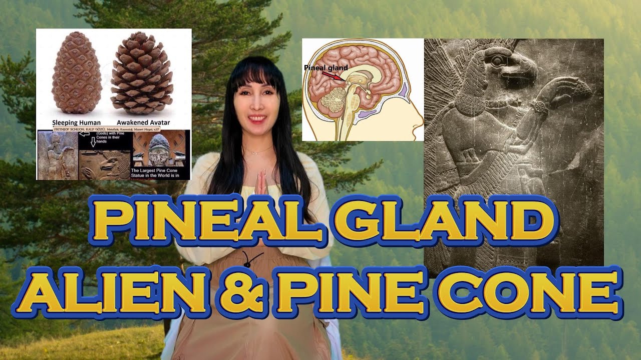 KELENJAR PINEAL, ALIEN DAN SIMBOL PINE CONE - YouTube