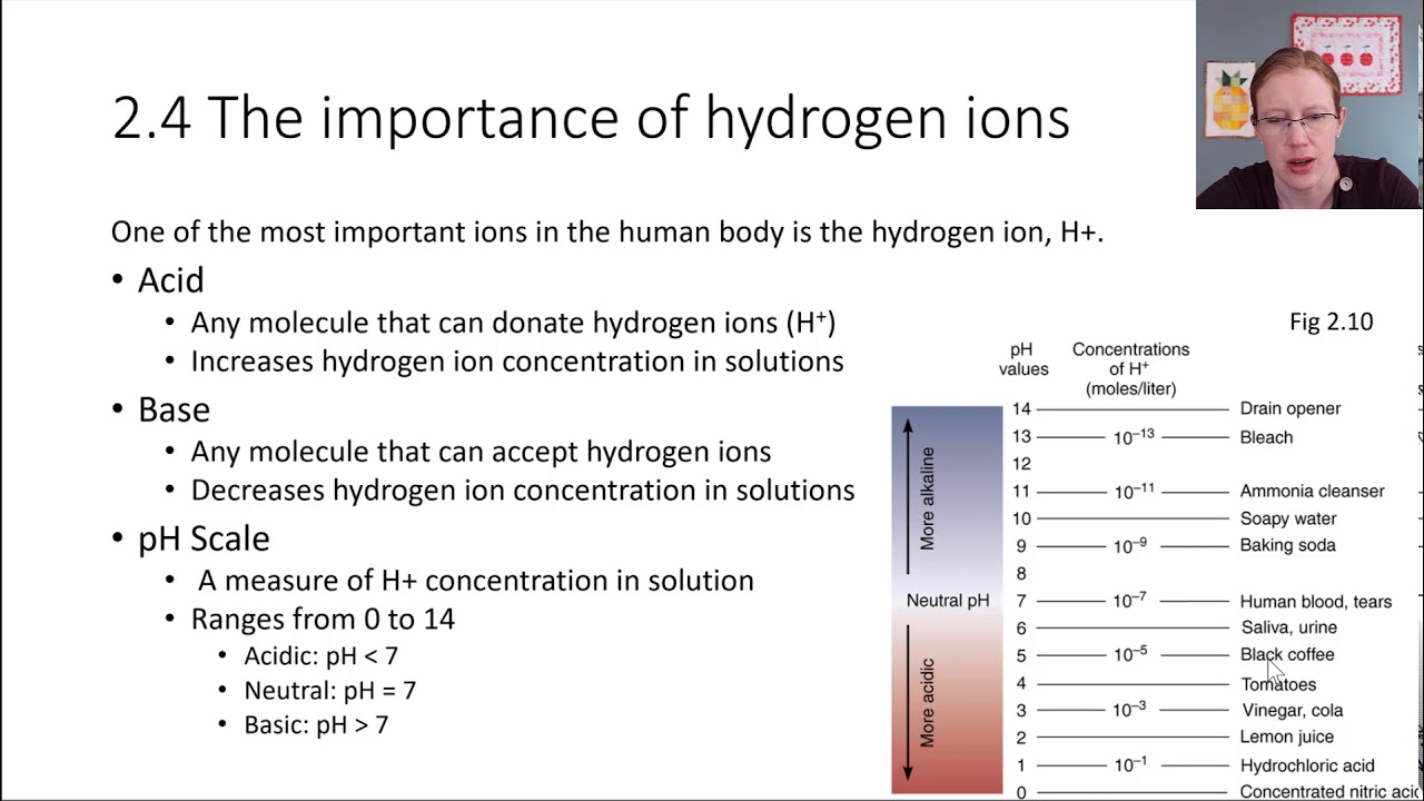 Ch02-4 Hydrogen ions - YouTube