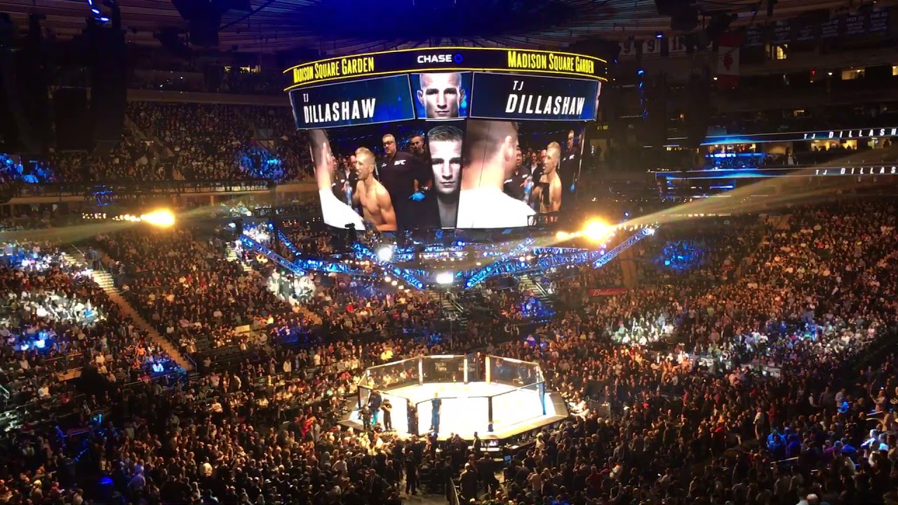 UFC 217 | TJ Dillashaw Entrance - YouTube