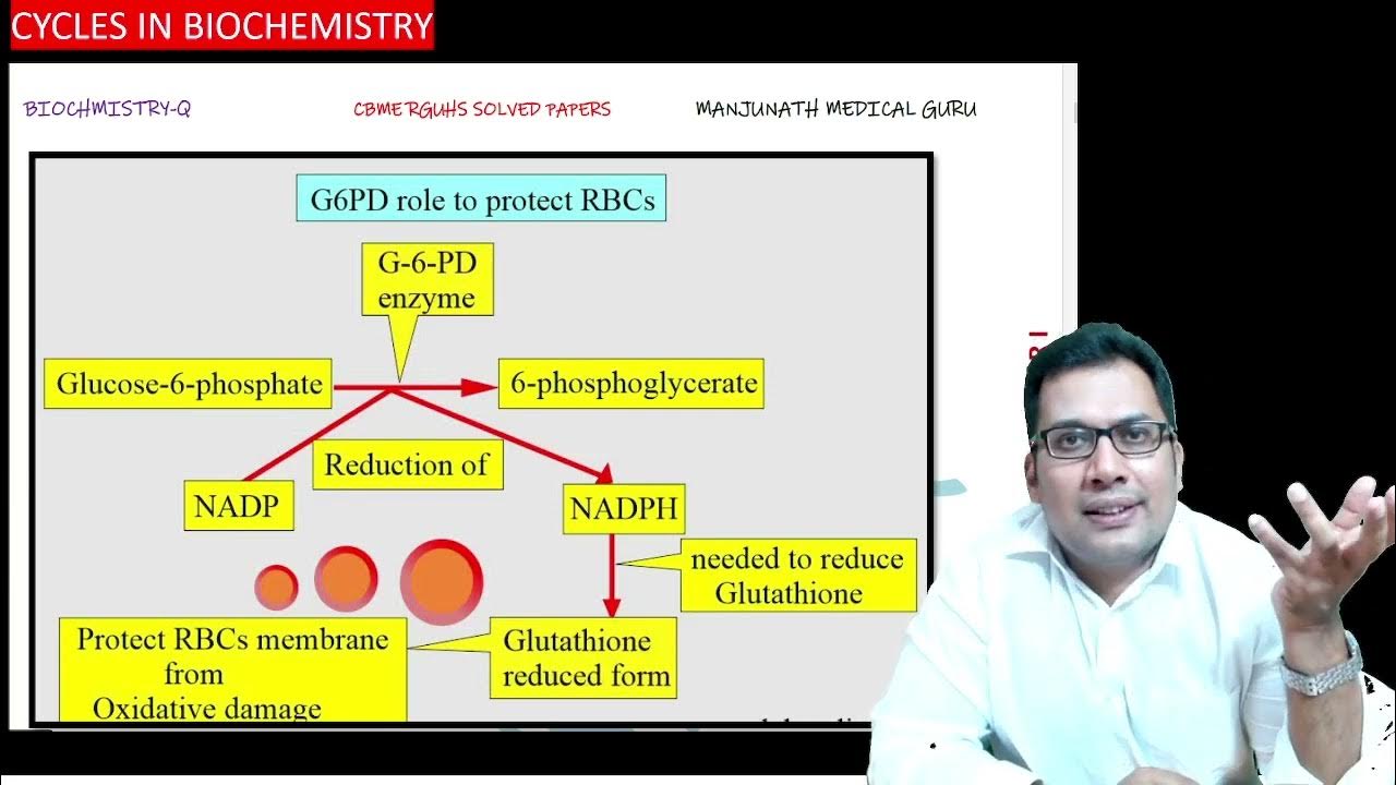 How To Write Answers In FIRST MBBS RGUHS EXAM To Score A Distinction how-to-write-answers-in-first-mbbs-rguhs-exam-to-score-a-distinction