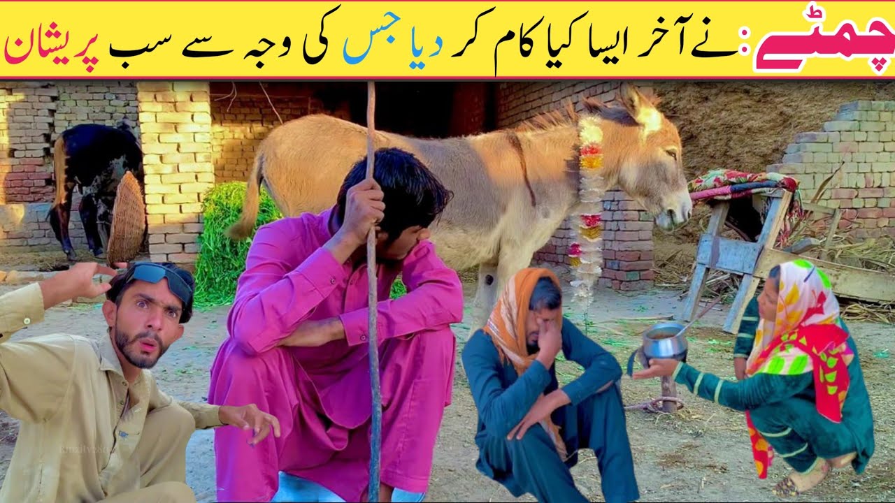 Chimty ne aisa kia kam kar diya. || ustadramzi chimta | #rmzitv280 ...