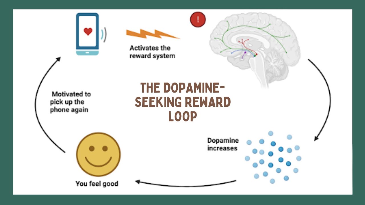 The Dopamine-Seeking Reward Loop: Why We Keep Scrolling by Kartina ...