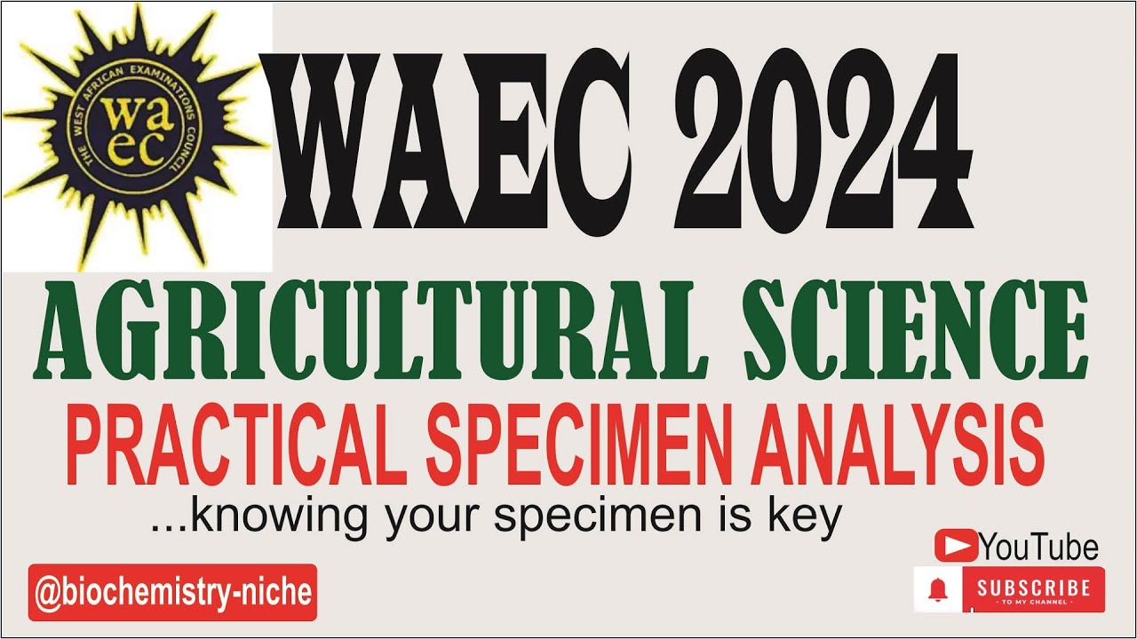 WAEC 2024 AGRIC SCIENCE PRACTICAL SPECIMEN YouTube waec-2024-agric-science-practical-specimen-youtube