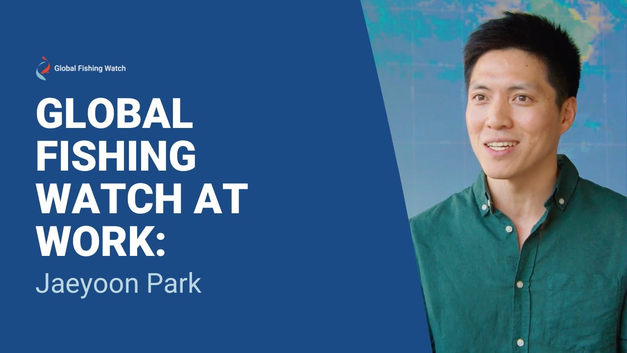 Global Fishing Watch at Work: Jaeyoon Park - YouTube
