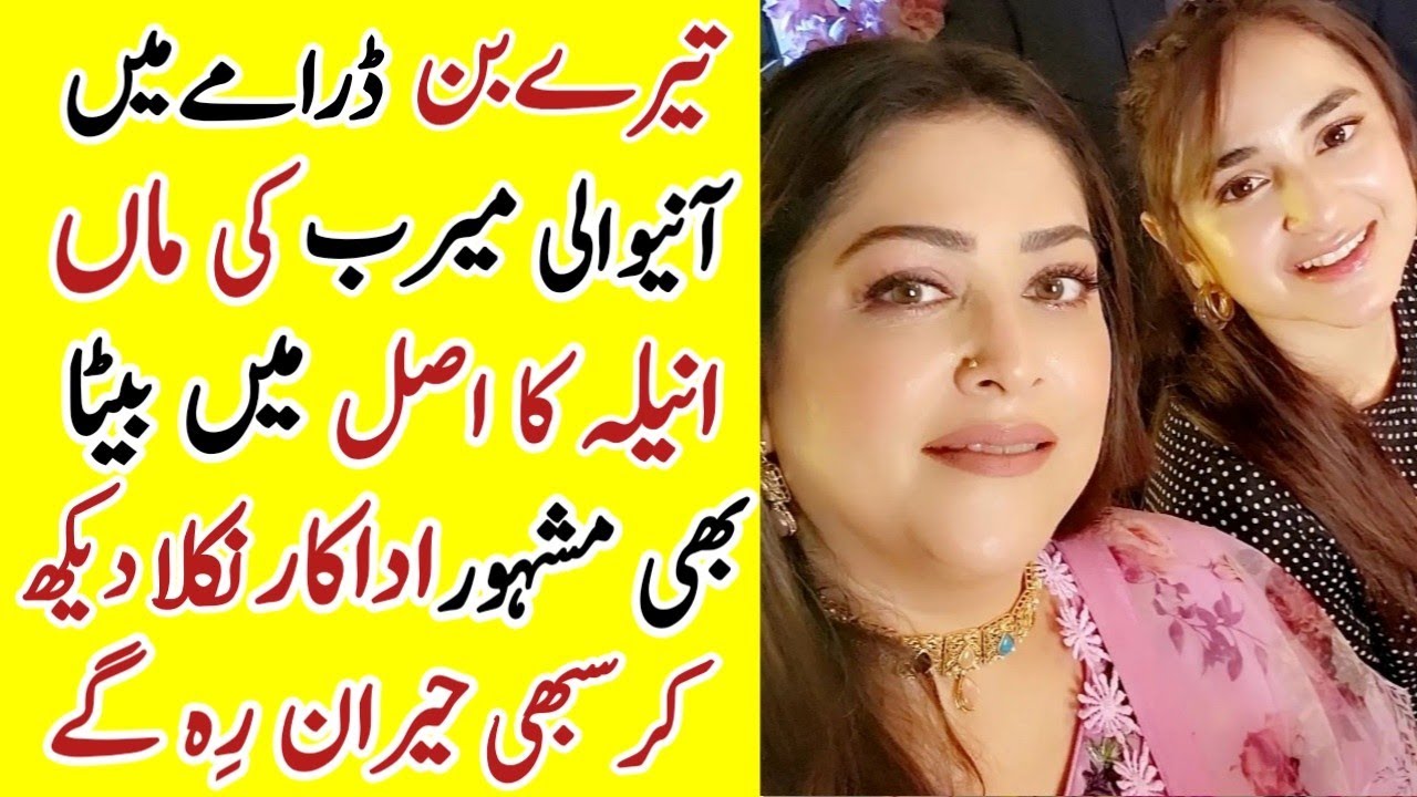 Tere Bin Last Episode Actress Aneela Real Family Tere Bin Last Episode ...