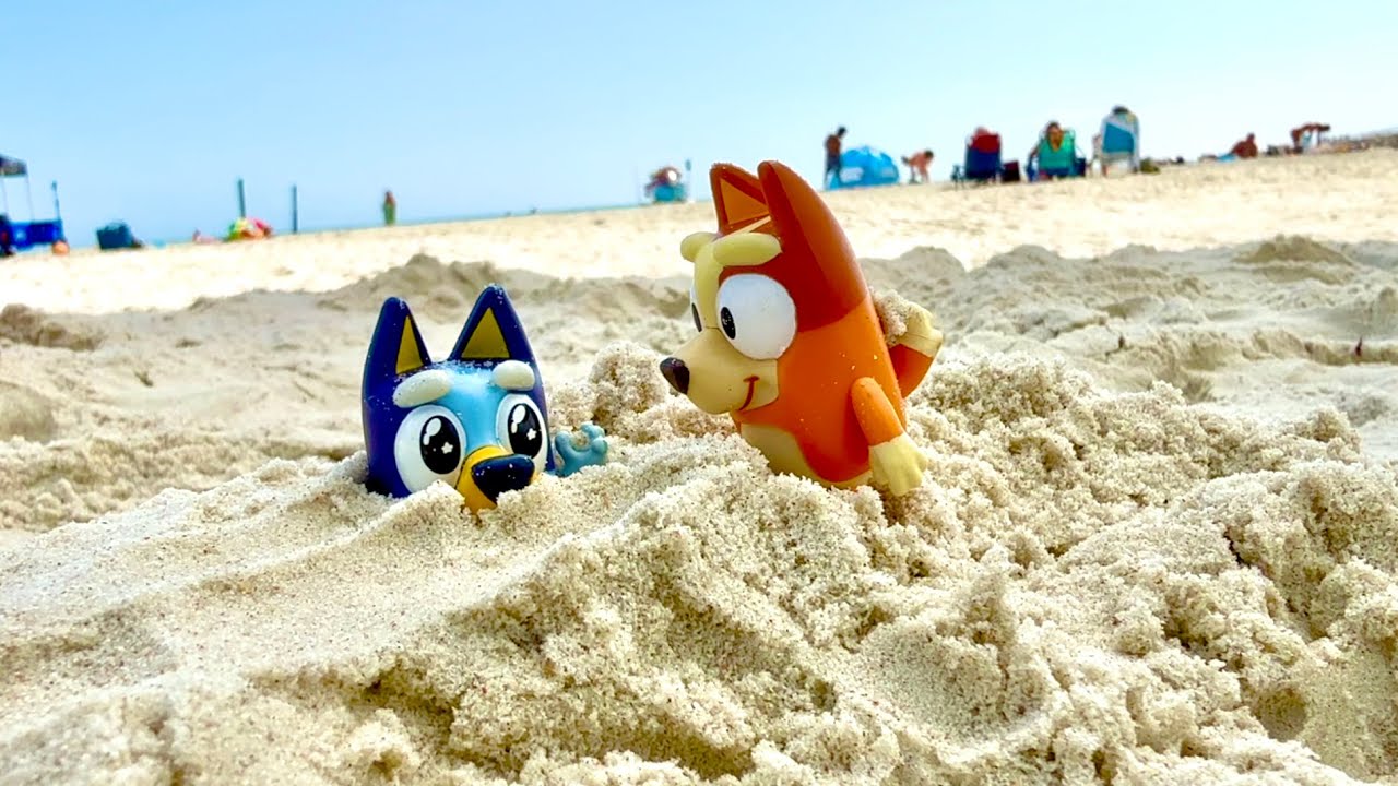 Bingo and Bluey The Beach 🏖️ - YouTube