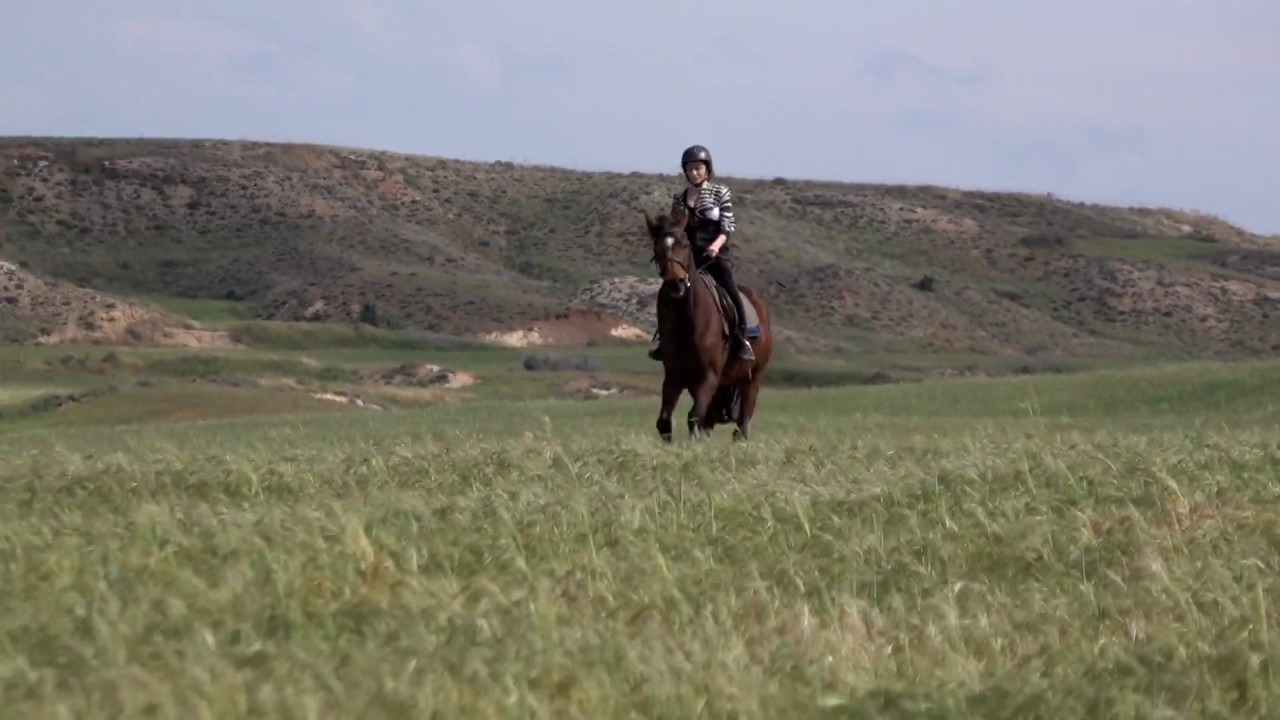 Horse Riding Cyprus Elveko Katerina - YouTube
