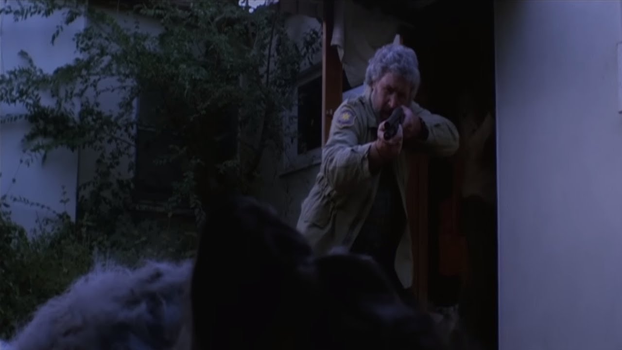 We saw the dead Werewolf during the day - YouTube