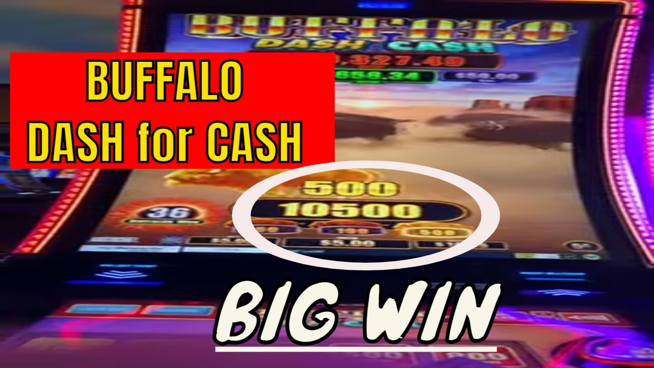 Buffalo SLOTs - A Tail of Two Buffalos LAS VEGAS WINNING DASH for CASH ...