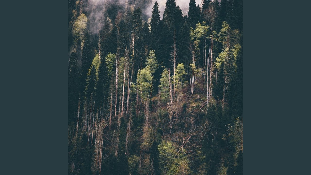 Dissolving the Self - YouTube