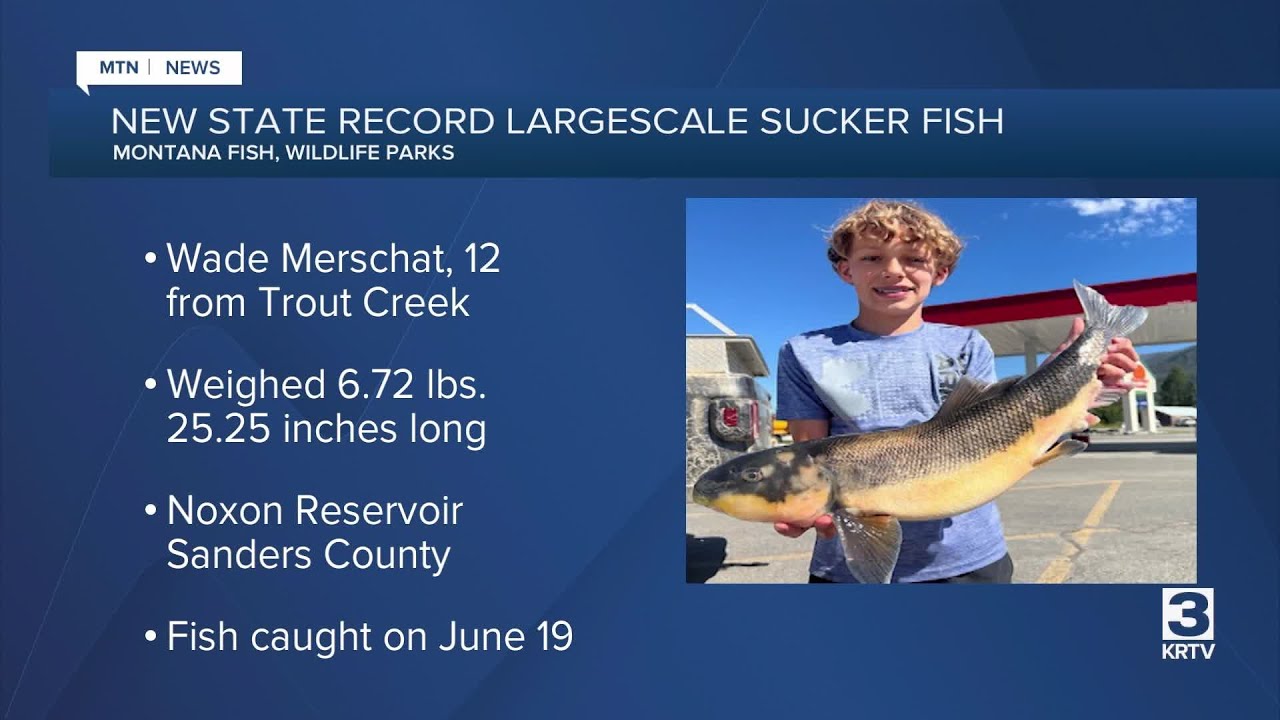Boy lands Montana-record largescale sucker - YouTube