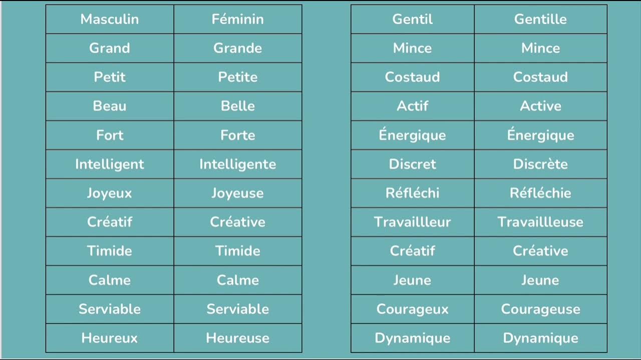 Les adjectifs les plus utilisés en français - YouTube
