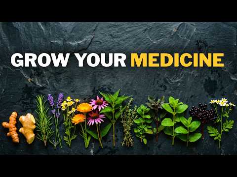 15 Anti-Inflammatory Herbs Doctors Want You to Grow Yourself