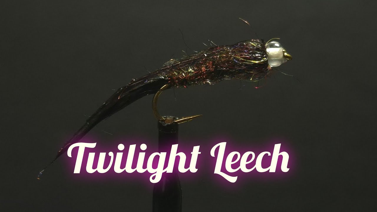 Twilight Leech replicates the naturals perfectly! - YouTube