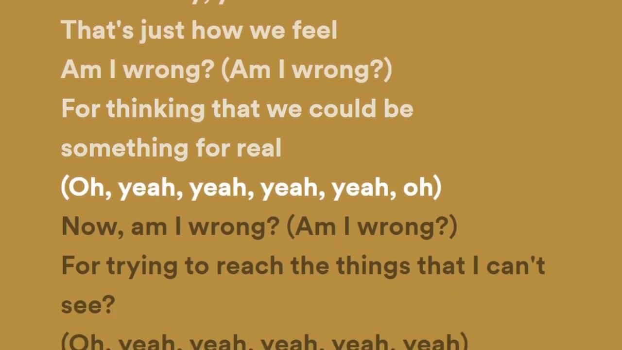 Am I Wrong Lyrics