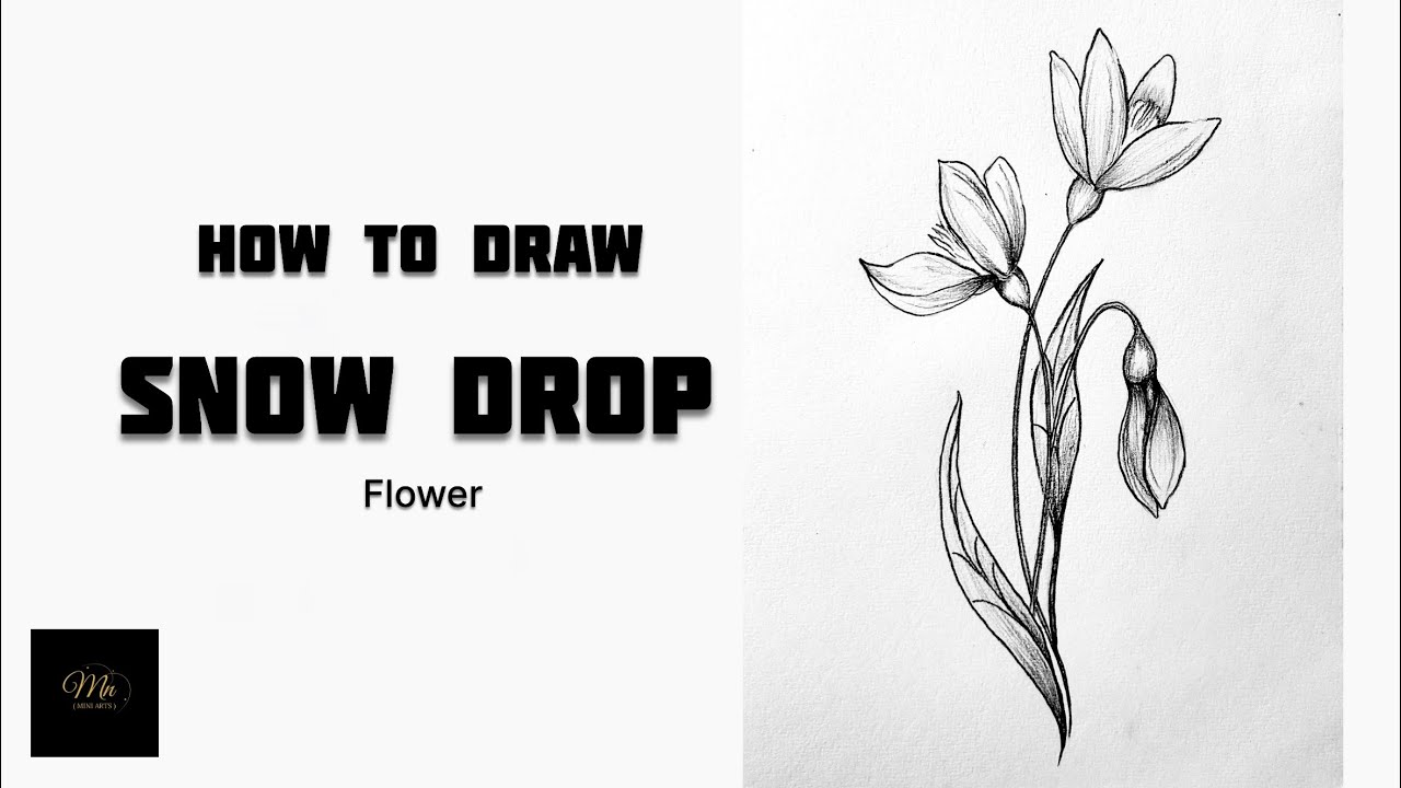 Snow drop flowers sketch || How to draw a flower step by step ? - YouTube