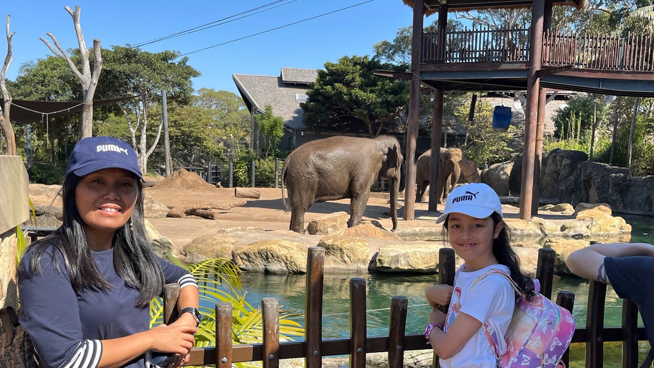 Taronga Park Zoo, Sydney - YouTube