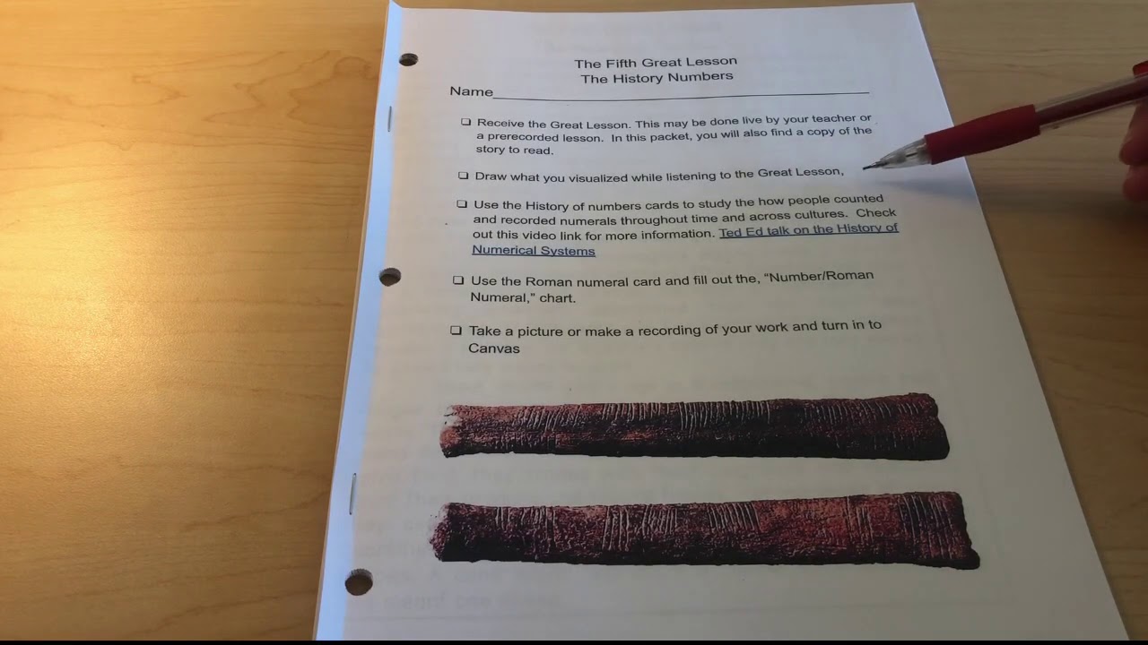 Fifth Great Lesson Follow Up - YouTube