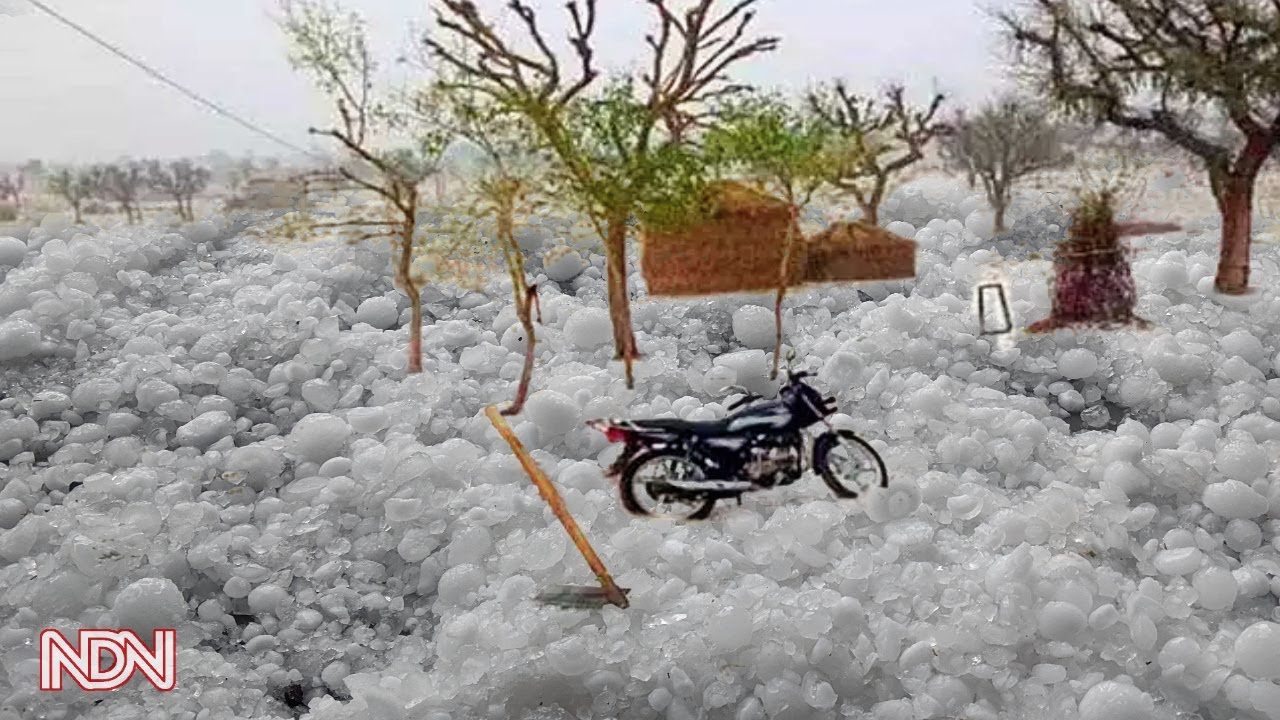 Beautiful Hail passed through Bikaner, Rajasthan, India. Hail in Desert ...