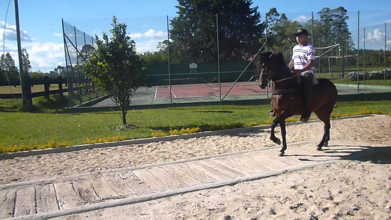 caballo hijo de mensaje pilon 3 lucas - YouTube