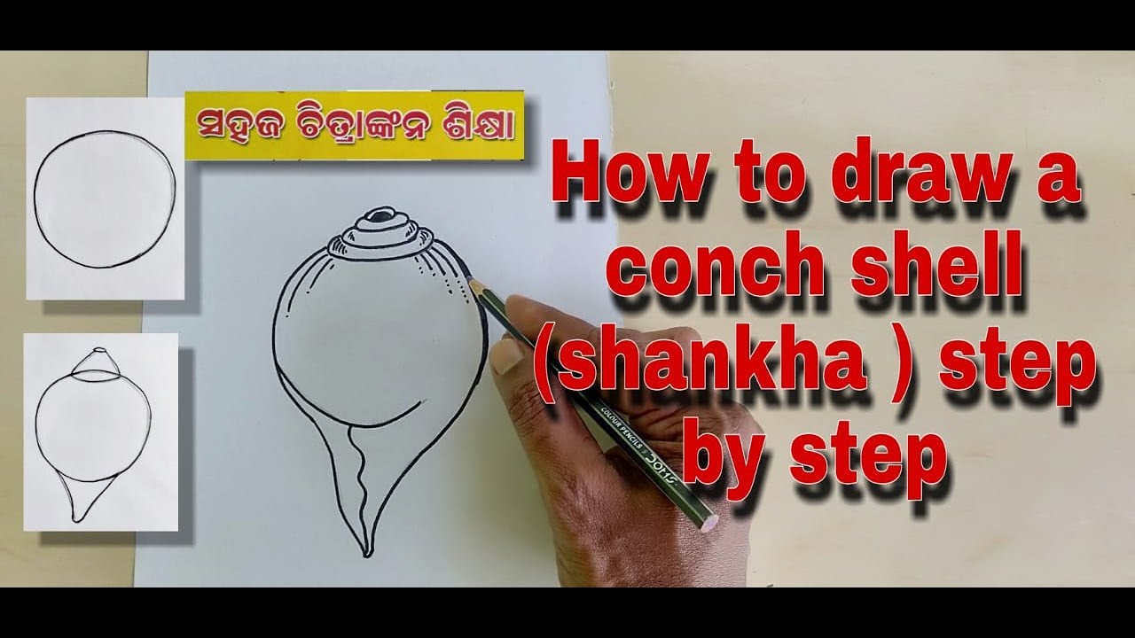 #How to draw a conch shell (shankha) step by step for school student ...