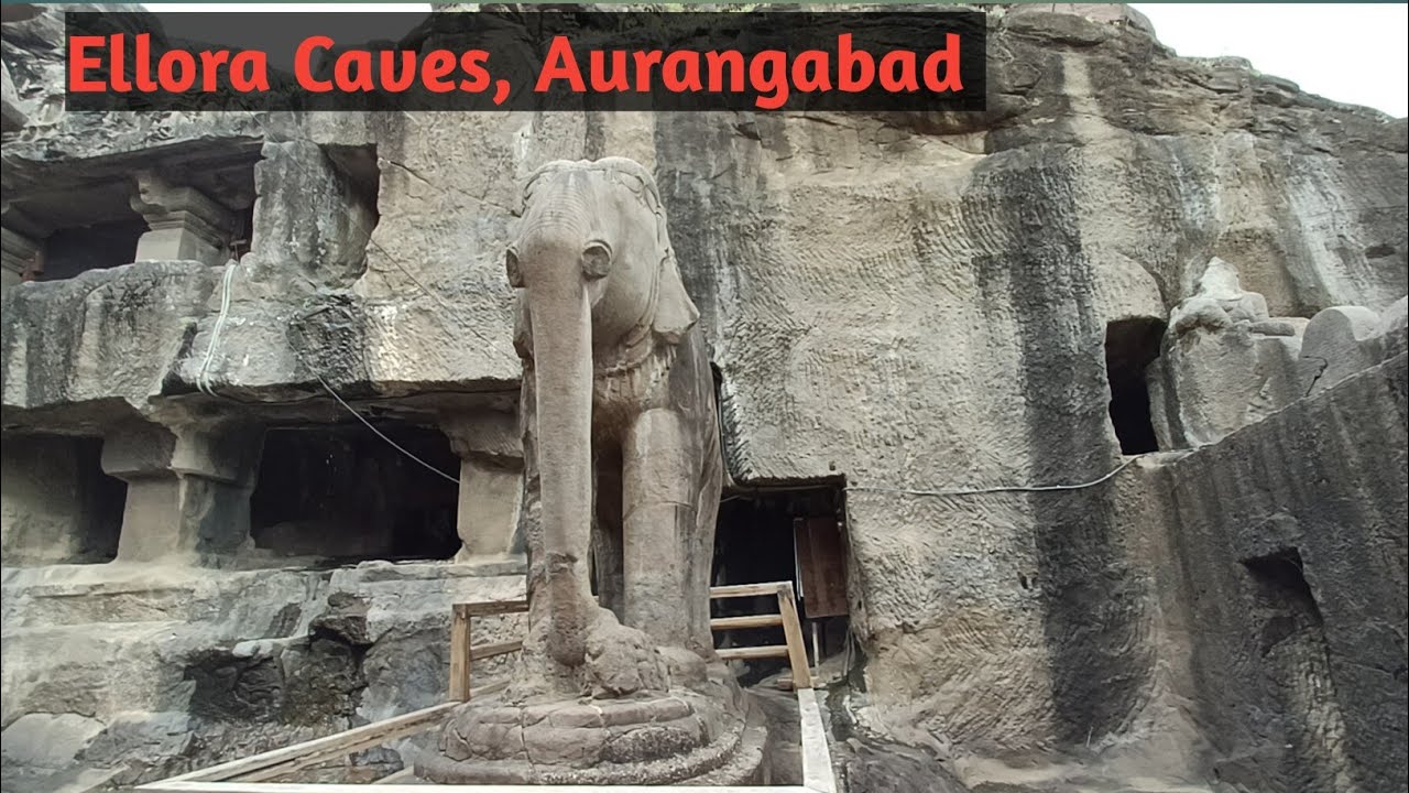 Picture Of Ellora Torchia