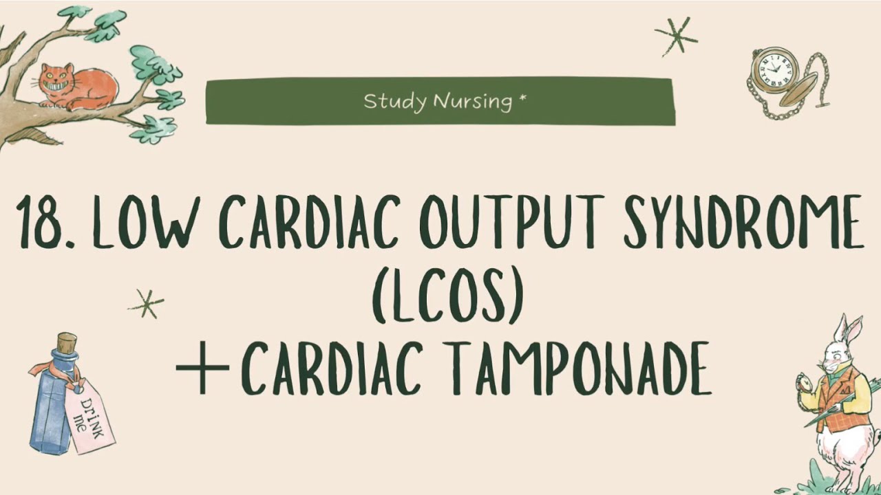 【Cardiology】Essential knowledge for nurses* #18 Low Cardiac Output ...