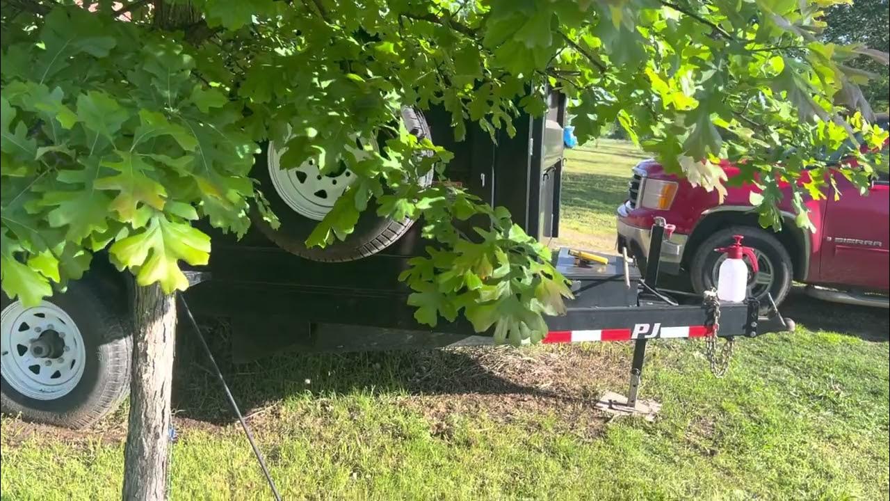 Calculating tree height using its shadow - YouTube