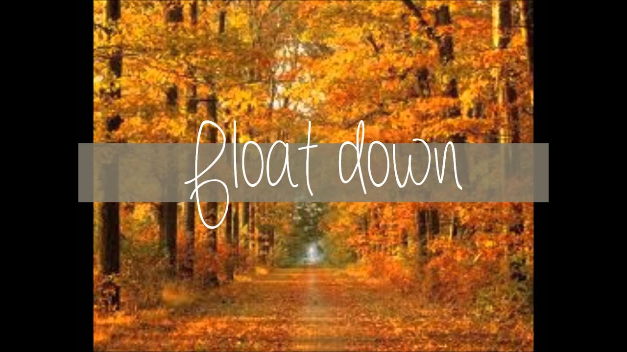 Autumn Leaves Ed Sheeran Lyrics YouTube autumn-leaves-ed-sheeran-lyrics-youtube