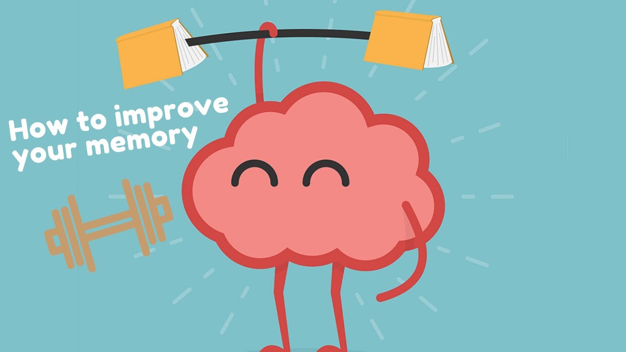 Want to Improve Your Memory? Science Tells Us the Key (and It Can ...