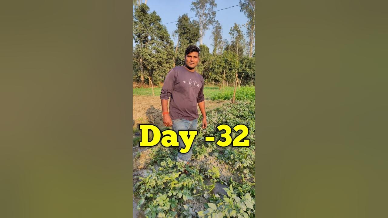 Day-32 || Daily New Mini Vlogs|| #minivlog #day32 #vlog #shorts - YouTube