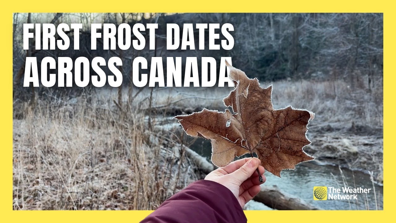 Here’s When the First Frost in Your Region Typically Hits - YouTube