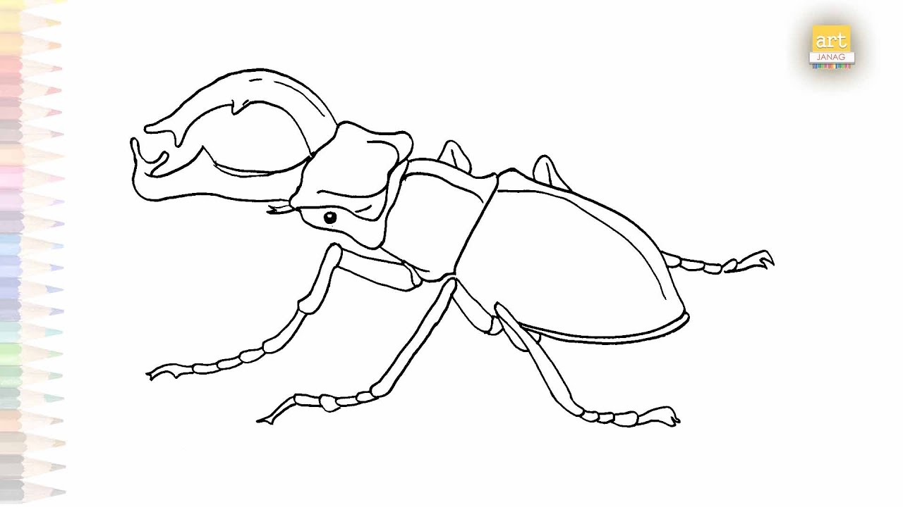 Stag beetle drawings easy | Drawing tutorial | How to draw A Stag ...