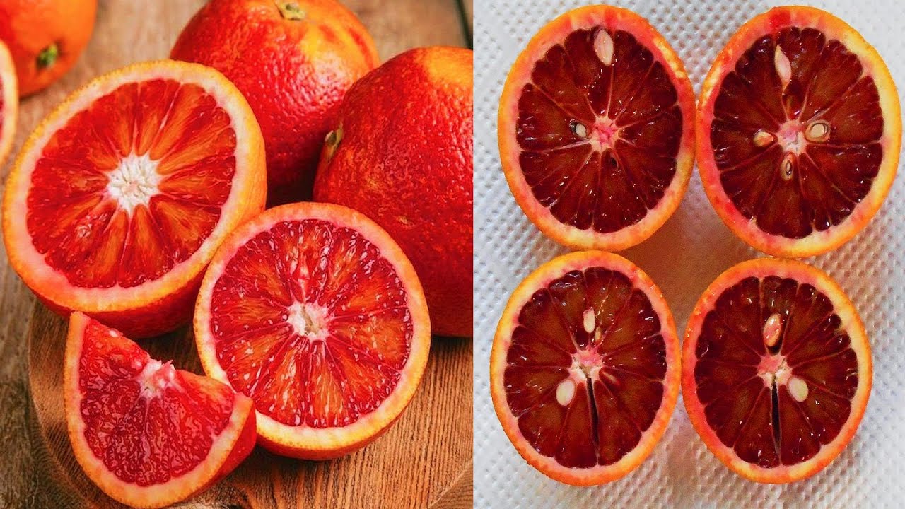 BLOOD ORANGES ARE RED INSIDE ||BLOOD ORANGES FRUIT || - YouTube
