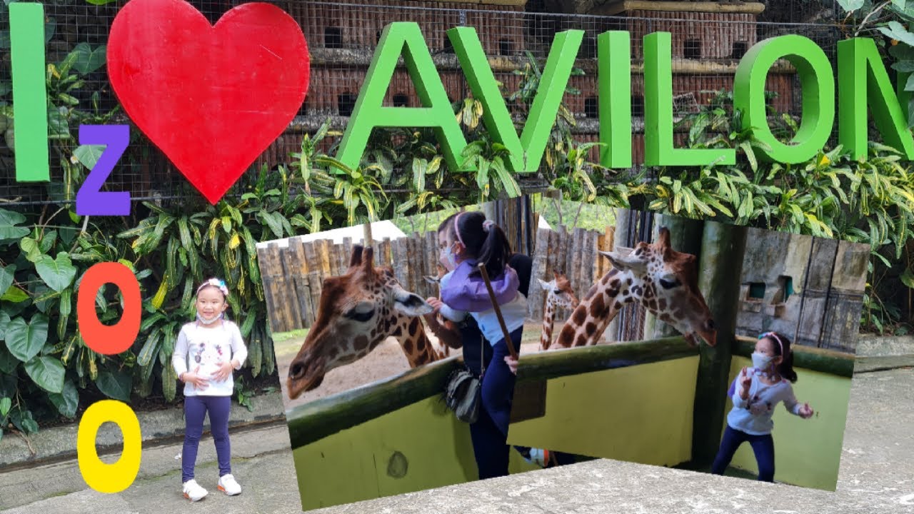 A DAY AT THE ZOO | ANIMAL FEEDING | BIGGEST ZOO| AVILON ZOO - YouTube