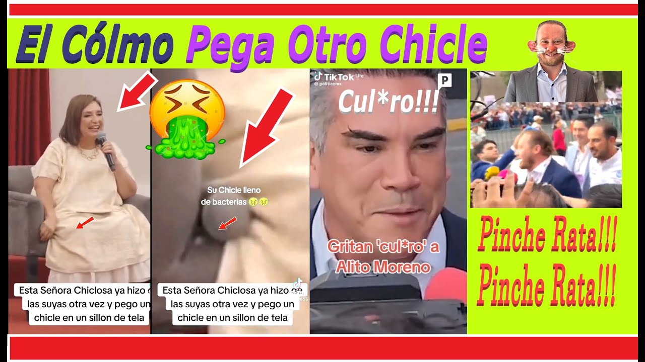 Asquerosa!!! Sucia!!! Pega otro Chicle Guacala!!! #Alito y #Rataboada ...